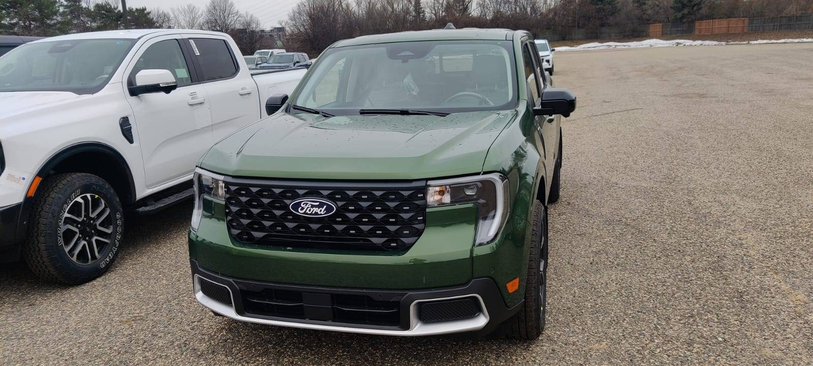 Took delivery January 6th (and the next steps) - Eruption Green Lariat ...