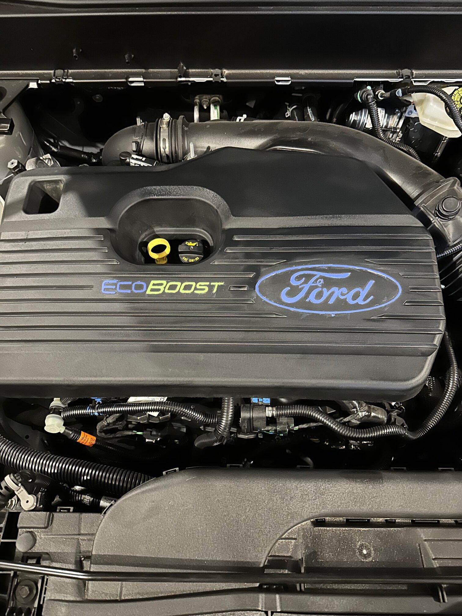 Tremor Engine cover, red line hood lift kit, and a few other goodies ...