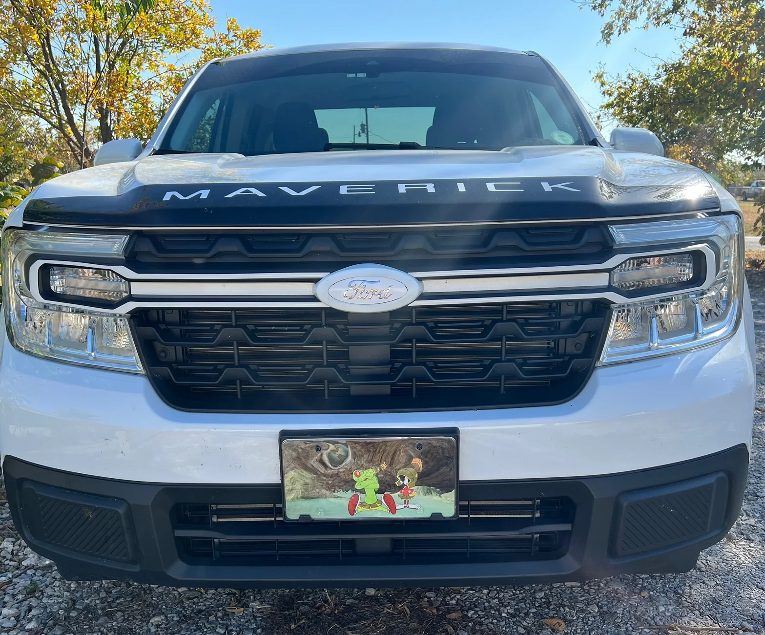 Pic request: 2025 Maverick WITH hood bug deflector installed | Page 3 ...