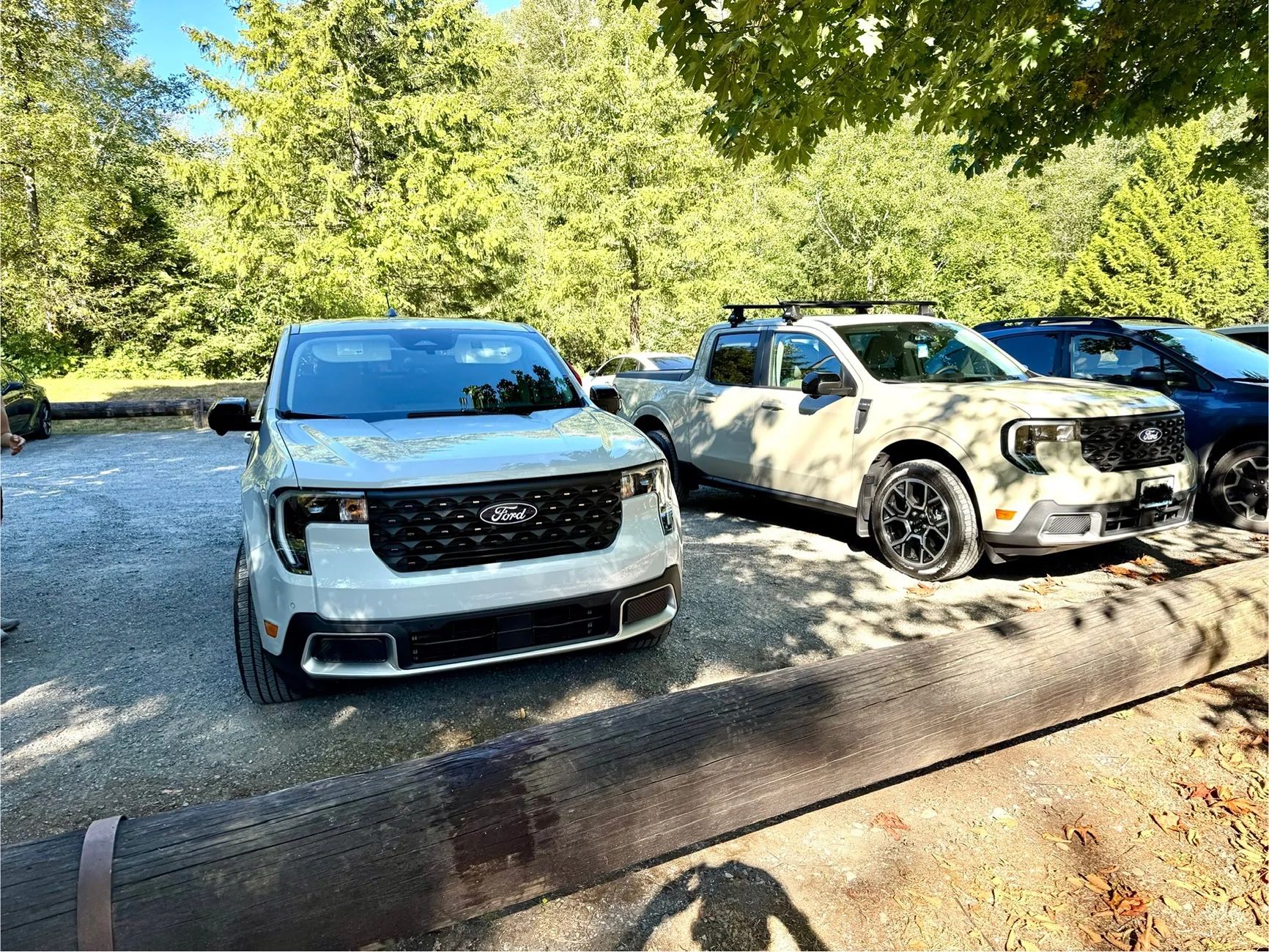 Space White Metallic vs Desert Sand | Page 5 | MaverickTruckClub - 2022 ...