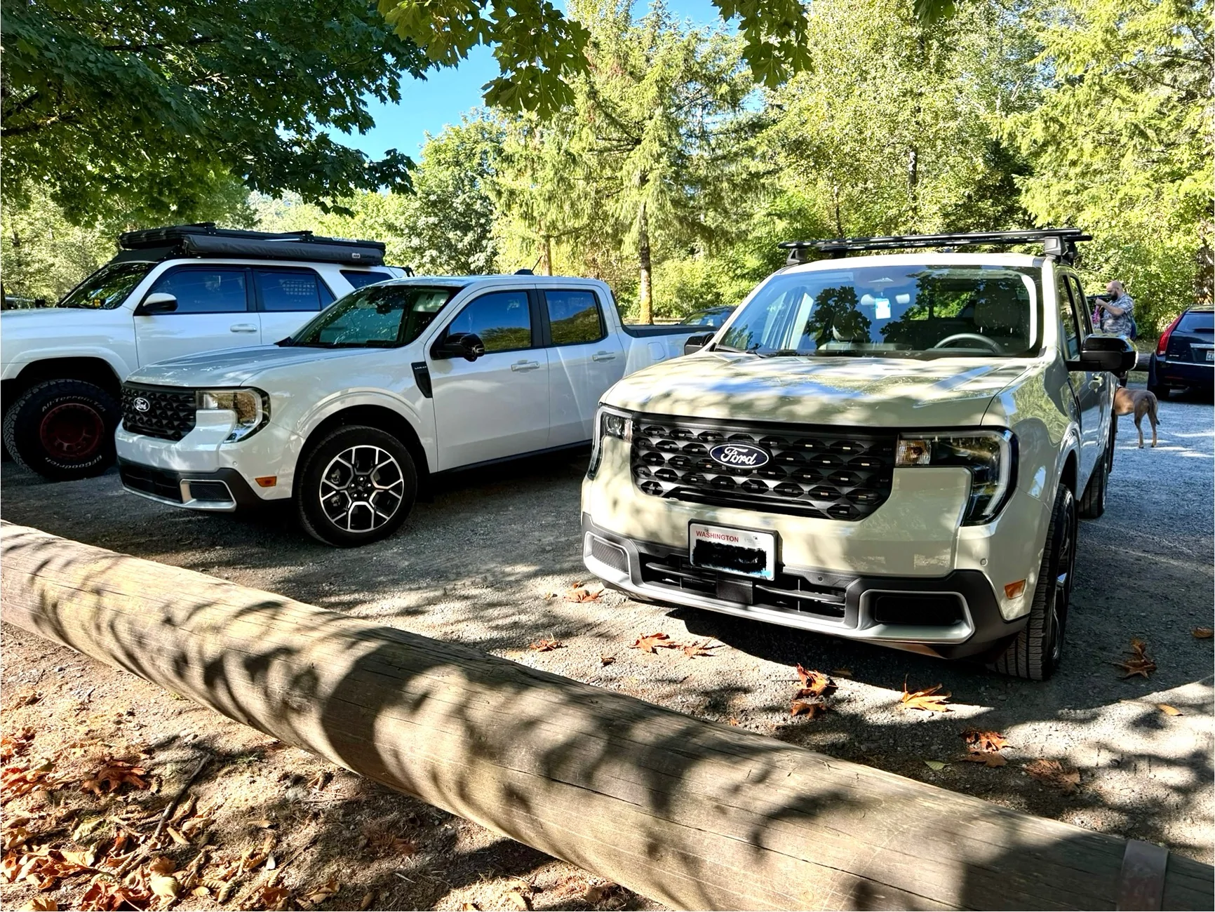 Space White Metallic vs Desert Sand | Page 5 | MaverickTruckClub - 2022 ...