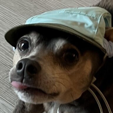 2023MY Maverick shipping/tracking -- got my railcar number from Ford ...