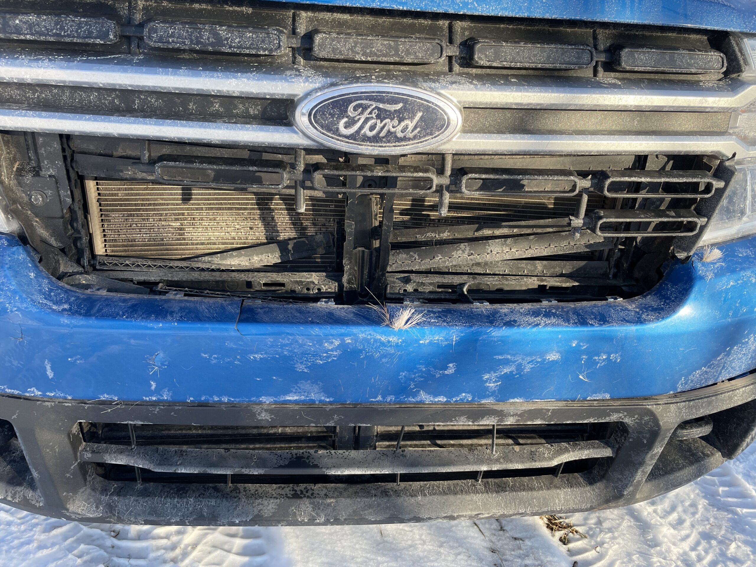 Deer collision damage results in $6k repair. Insurance lessons learned ...